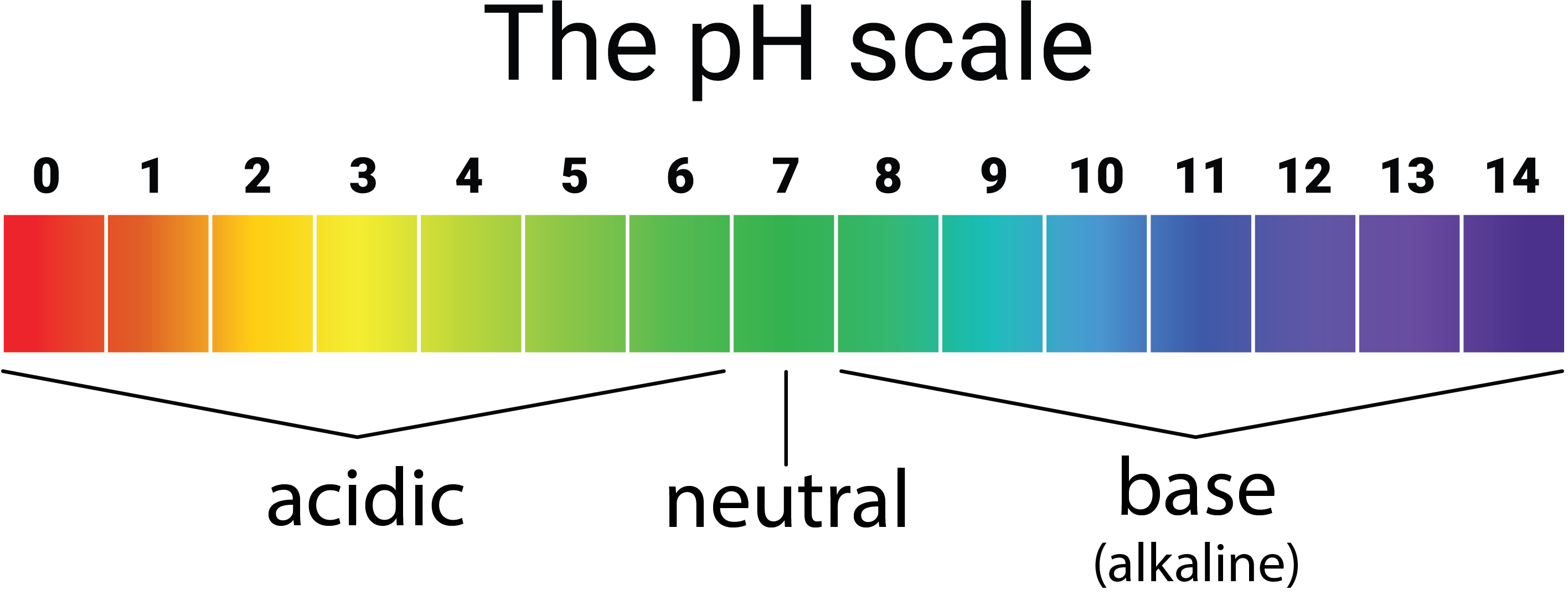 What Is A Neutral PH Disinfect Tips